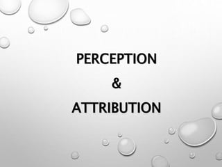 Perception & attribution | PPTX