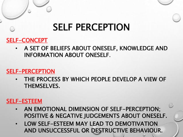 Perception & attribution | PPTX