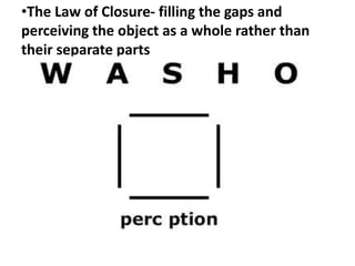 Perception b.ed