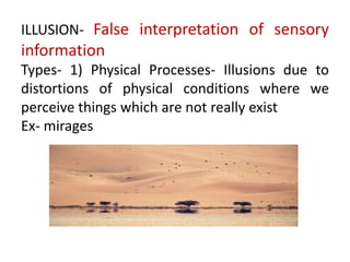 Perception b.ed