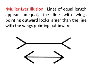 Perception b.ed