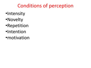 Perception b.ed