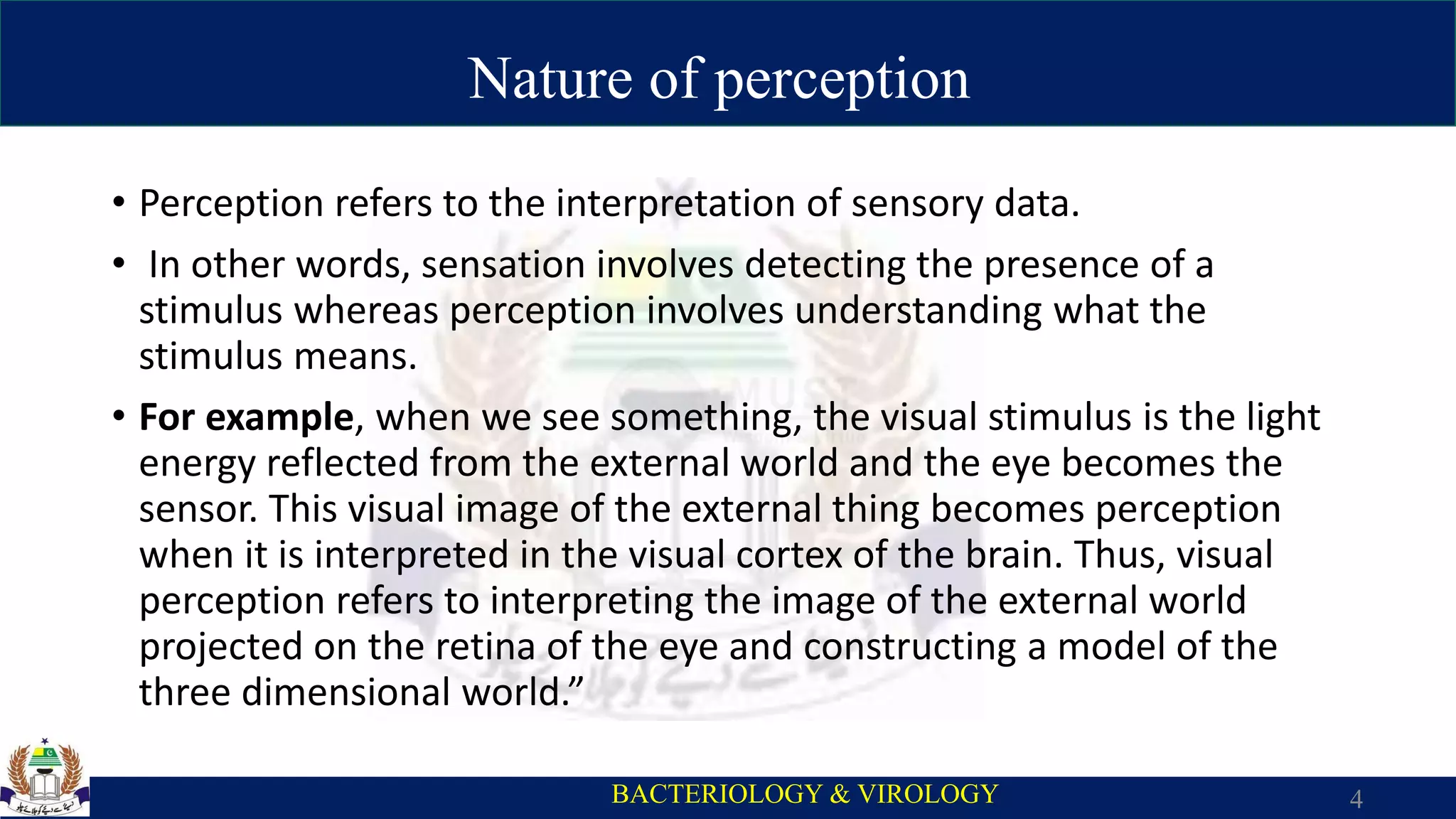 perception (b).pptx