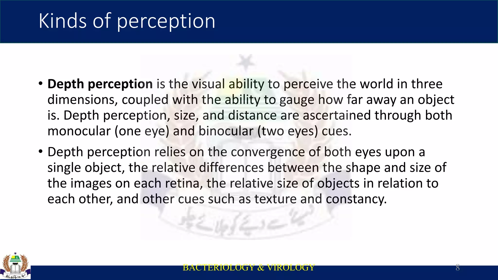 perception (b).pptx