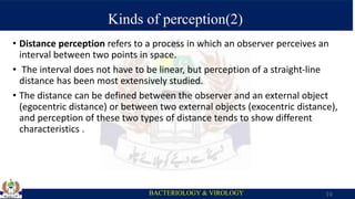 perception (b).pptx