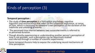 perception (b).pptx