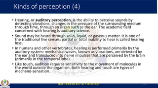 perception (b).pptx