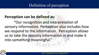 perception (b).pptx