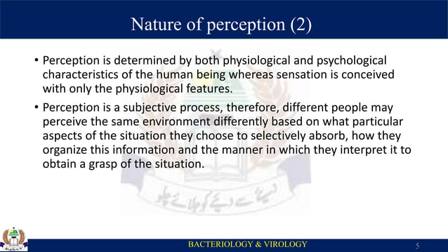 perception (b).pptx