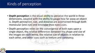 perception (b).pptx