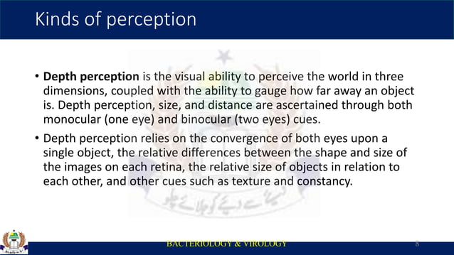 perception (b).pptx