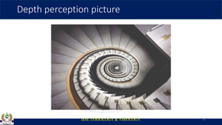 perception (b).pptx