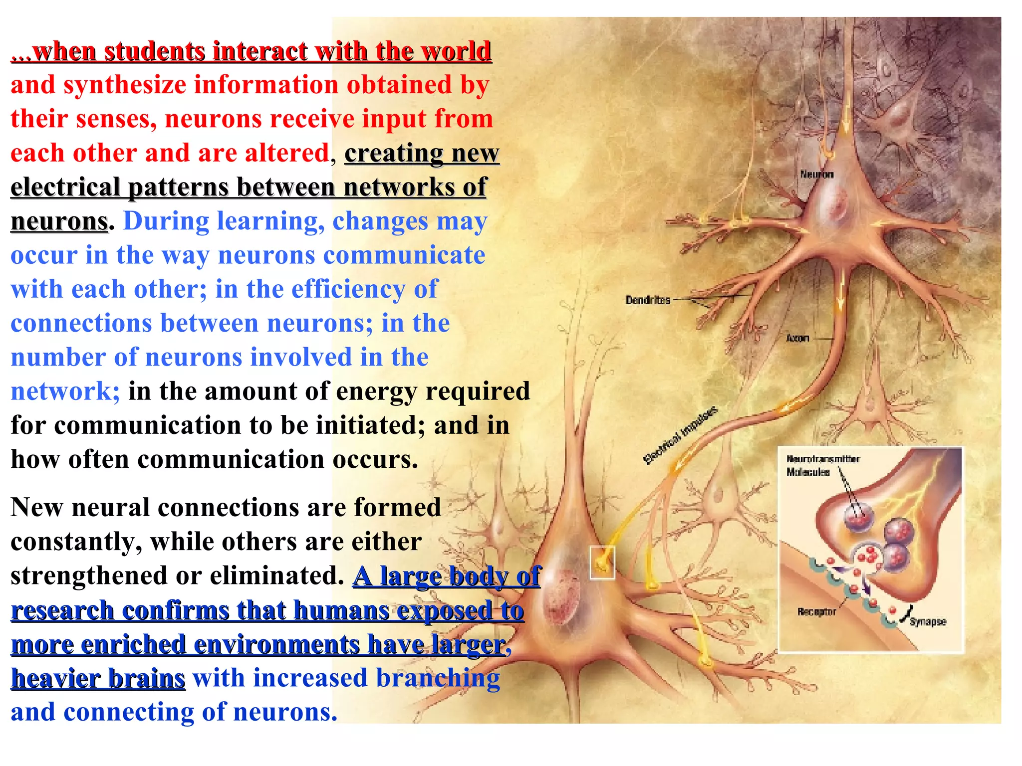 Perception,Cognition,Worldviews | PPT