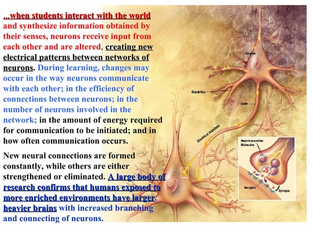 Perception,Cognition,Worldviews | PPT