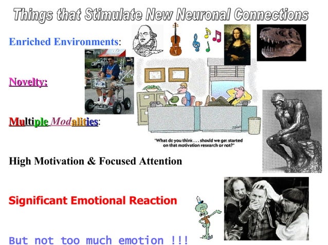 Perception,Cognition,Worldviews | PPT