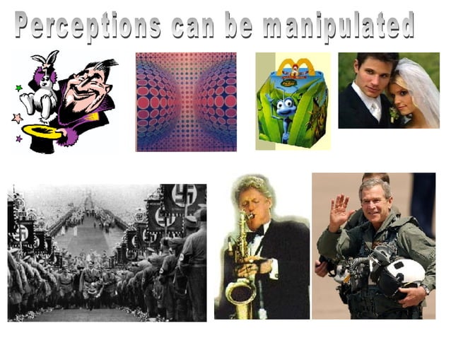 Perception,Cognition,Worldviews | PPT