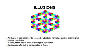 Perception | PPT