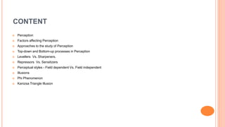 Perception | PPT