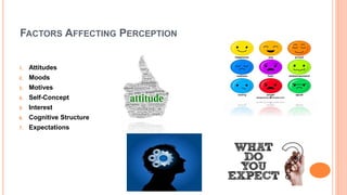 Perception | PPT