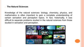 Perception | PPT