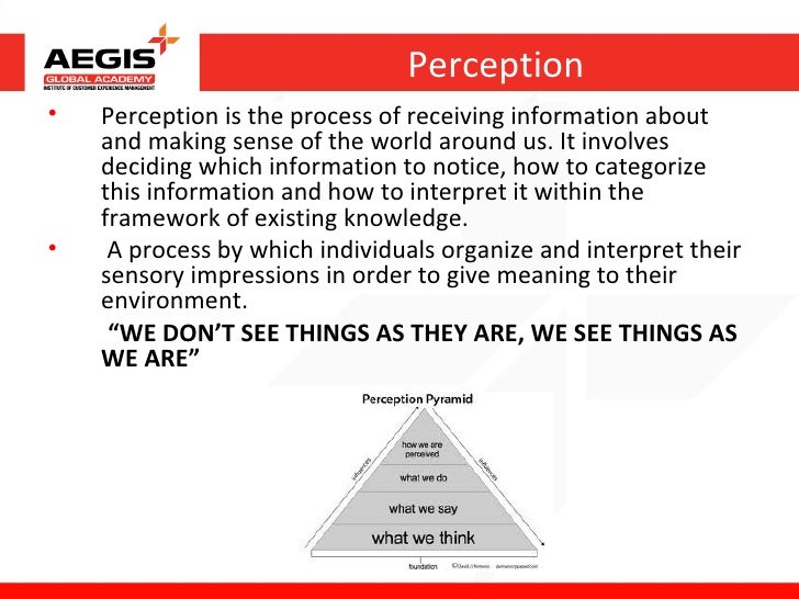 PERCEPTION AND INDIVIDUAL DECISION MAKING
