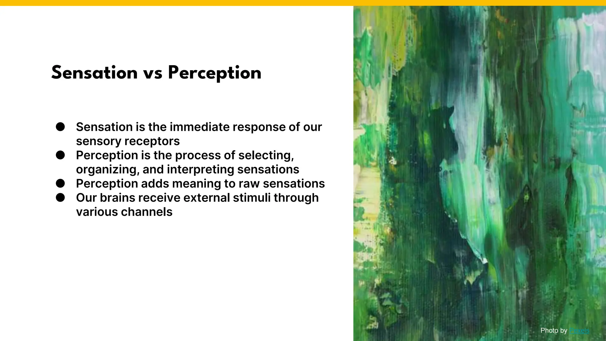 Consumer Behavior Perception Final Presentation.pptx