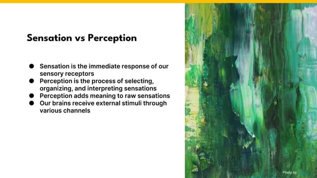 Consumer Behavior Perception Final Presentation.pptx