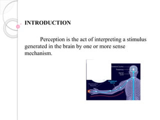 Perception for Psychology.pptx