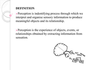 Perception for Psychology.pptx