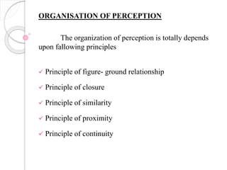 Perception for Psychology.pptx