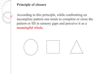 Perception for Psychology.pptx