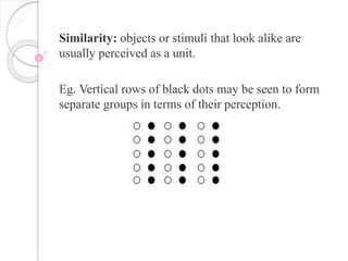 Perception for Psychology.pptx