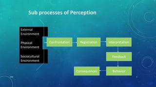 Perception | PPT