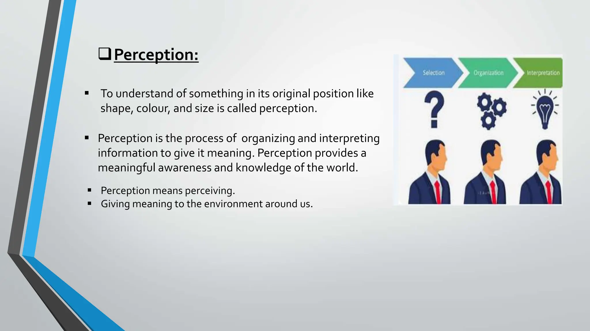 perception, illusion.pptx