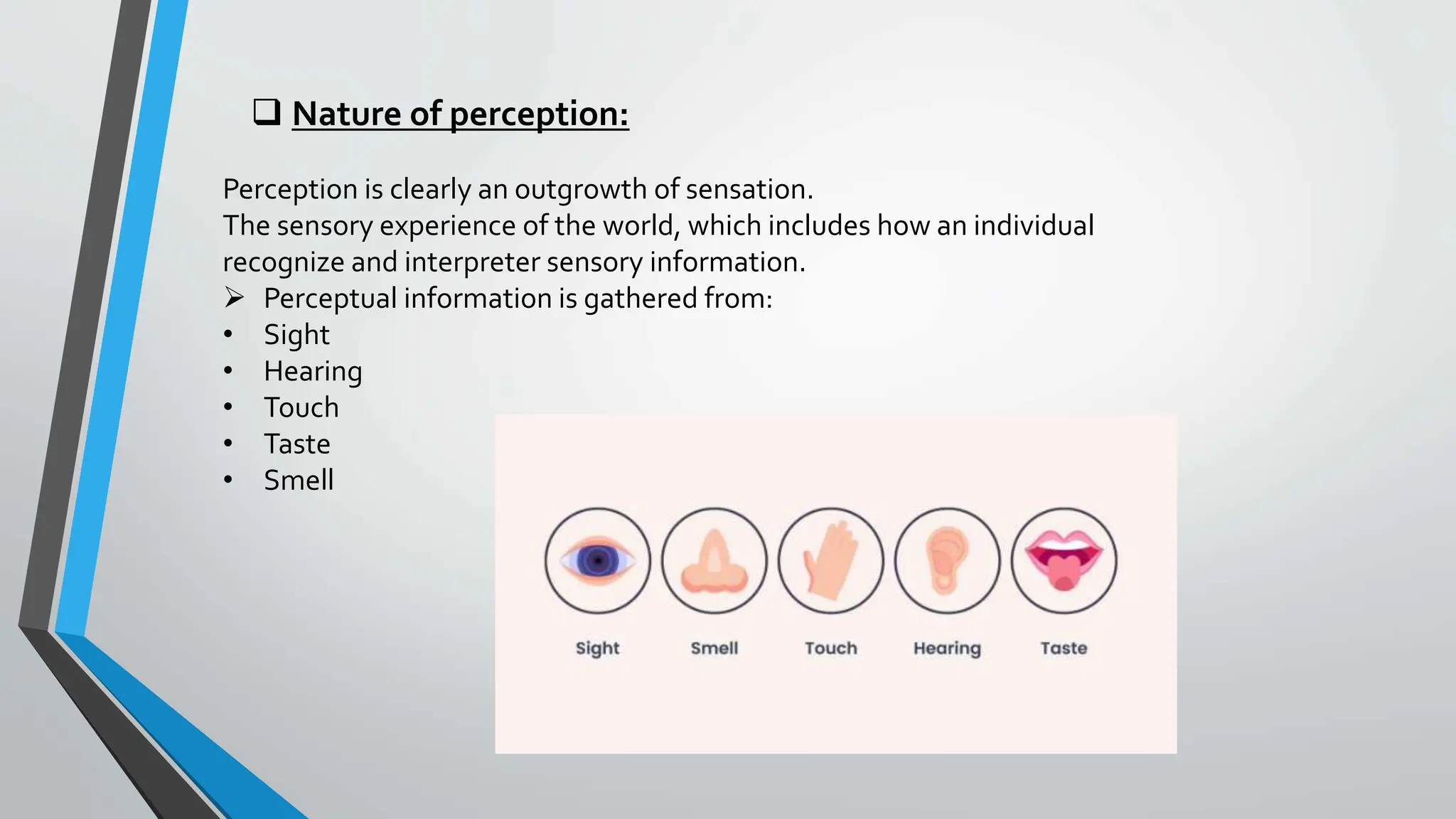 perception, illusion.pptx