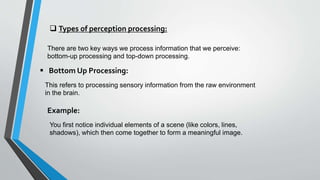 perception, illusion.pptx