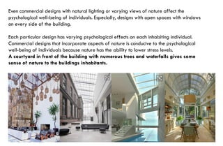 Perception in architecture | PDF