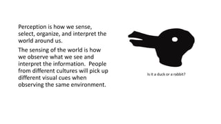 Perception in cross culture communication | PPTX