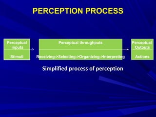 Perception(instructional media) | PPT | Science