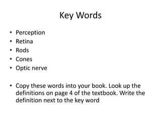 Perception lesson 1 | PPT