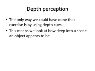 Perception lesson 3 and 4 | PPTX