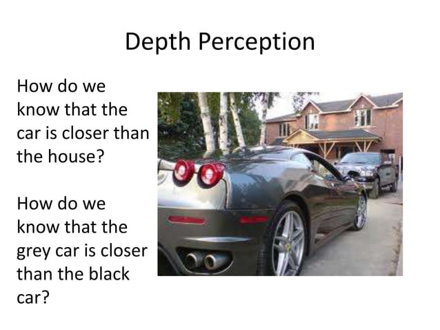 Perception lesson 3 and 4 | PPTX
