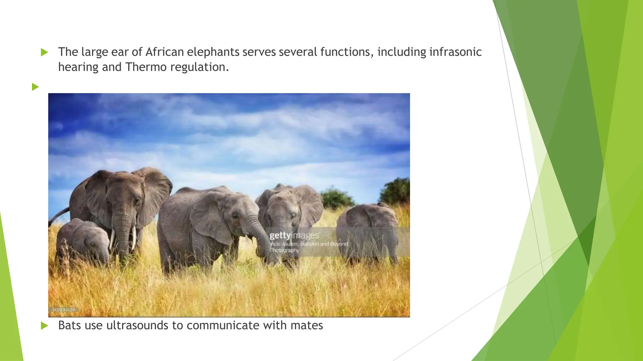 Understanding Environmental Perception: How We Experience and Interpret ...