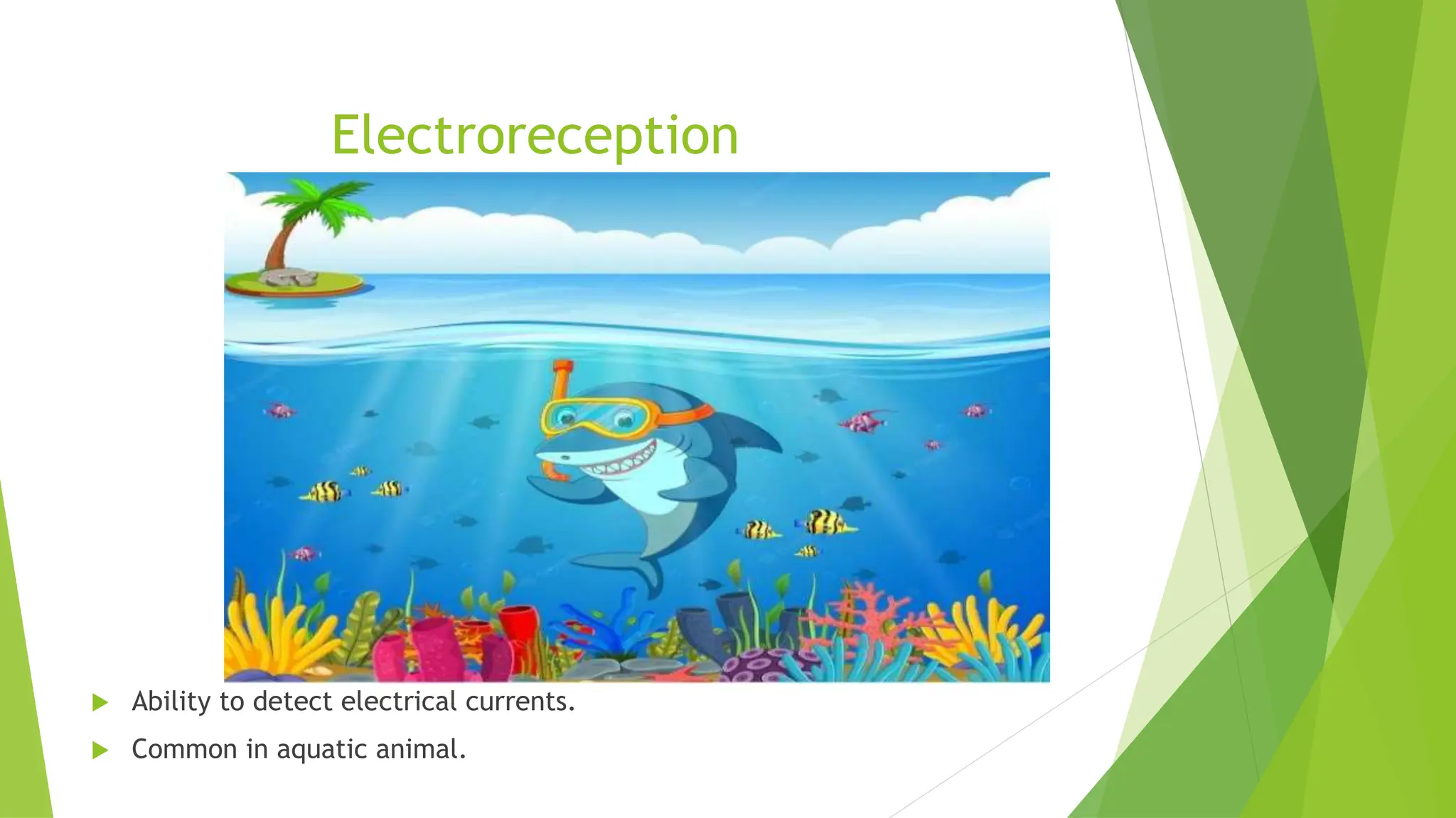 Understanding Environmental Perception: How We Experience and Interpret ...