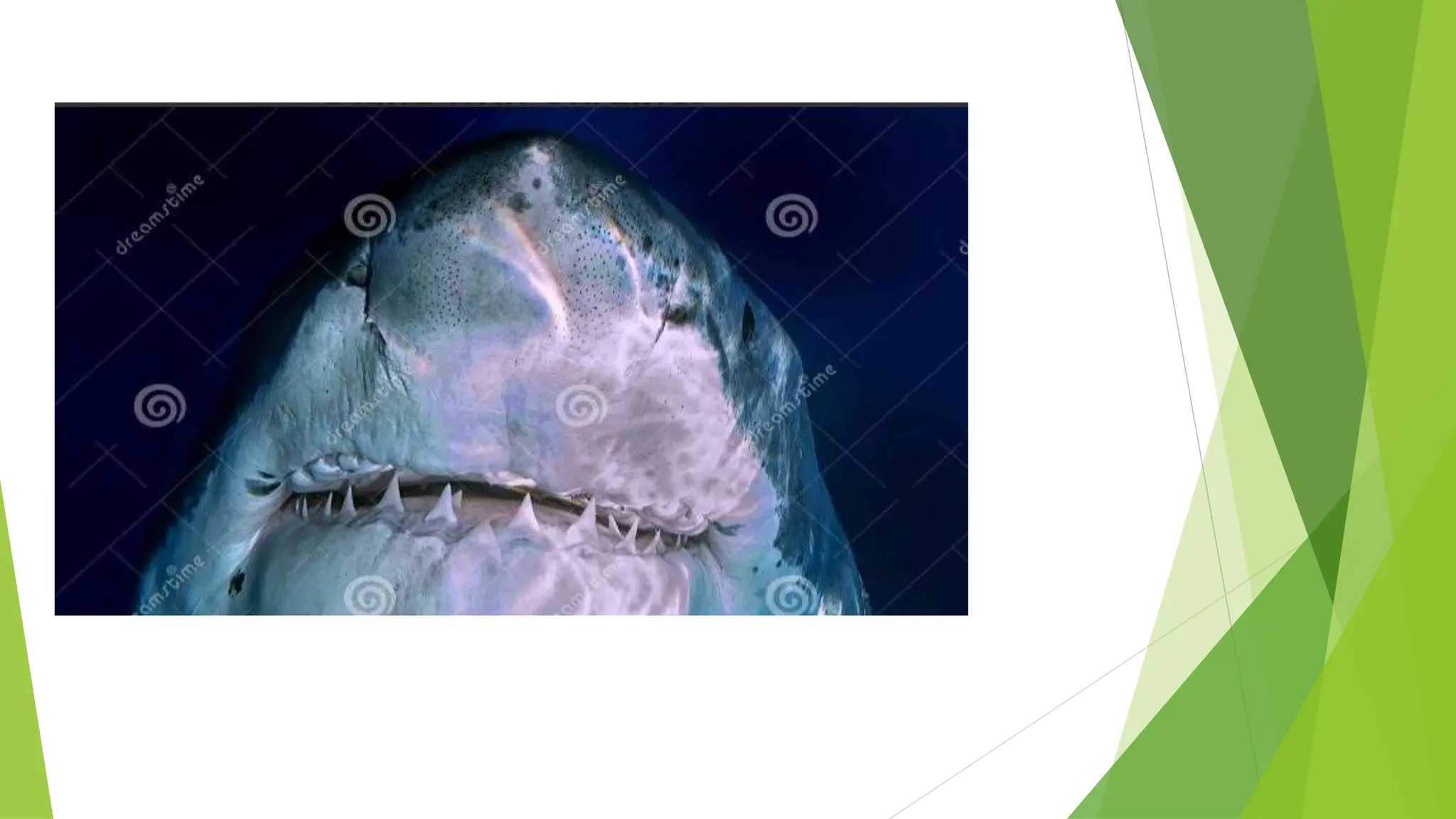 Understanding Environmental Perception: How We Experience and Interpret ...