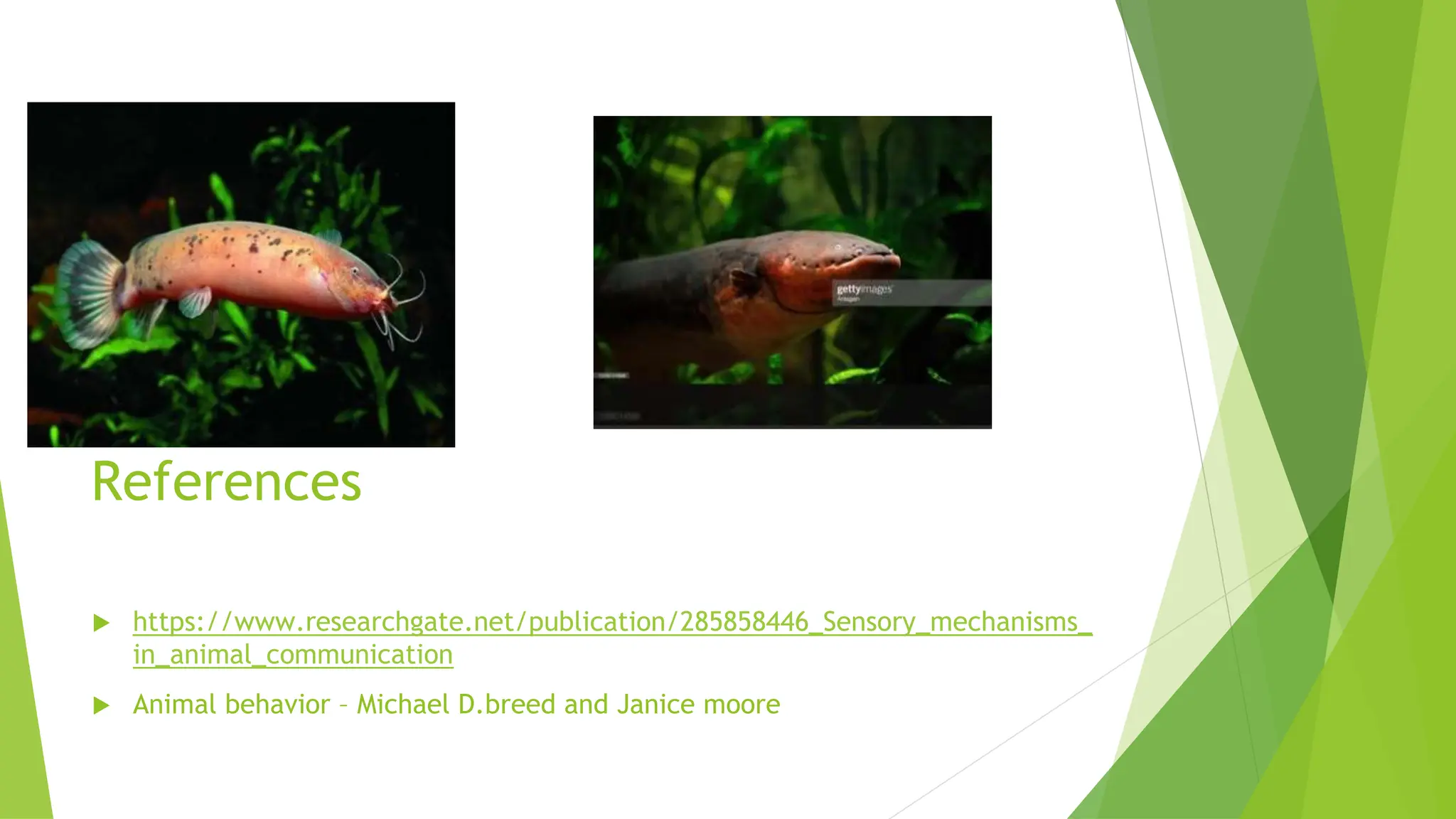 Understanding Environmental Perception: How We Experience and Interpret ...