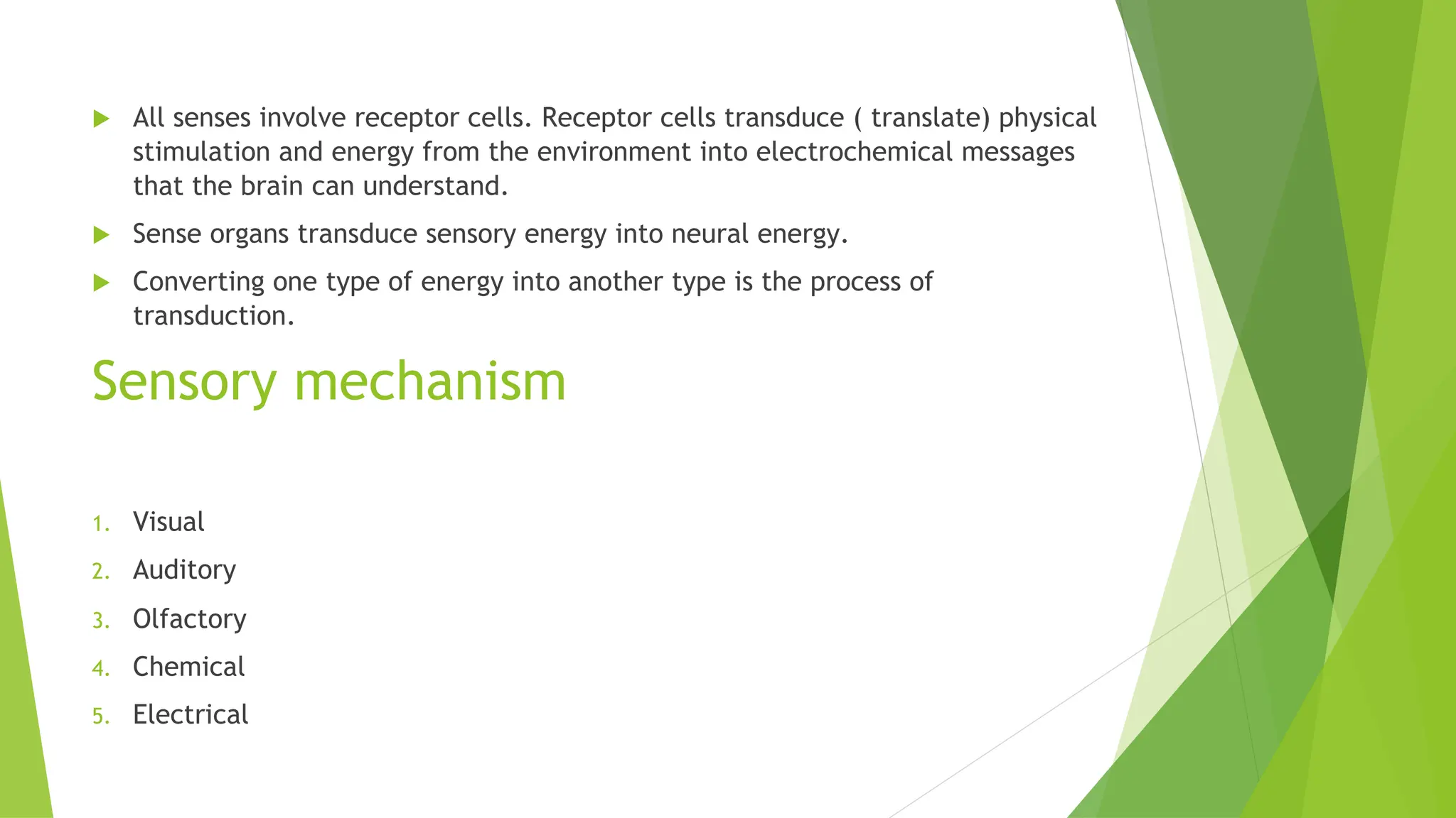 Understanding Environmental Perception: How We Experience and Interpret ...
