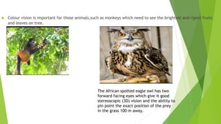 Understanding Environmental Perception: How We Experience and Interpret ...