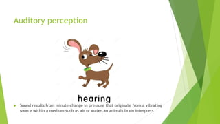 Understanding Environmental Perception: How We Experience and Interpret ...
