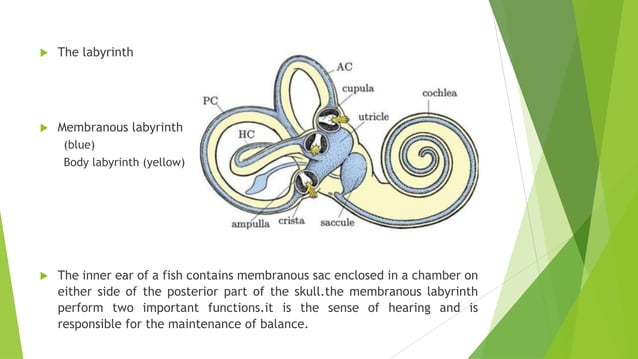 Understanding Environmental Perception: How We Experience and Interpret ...